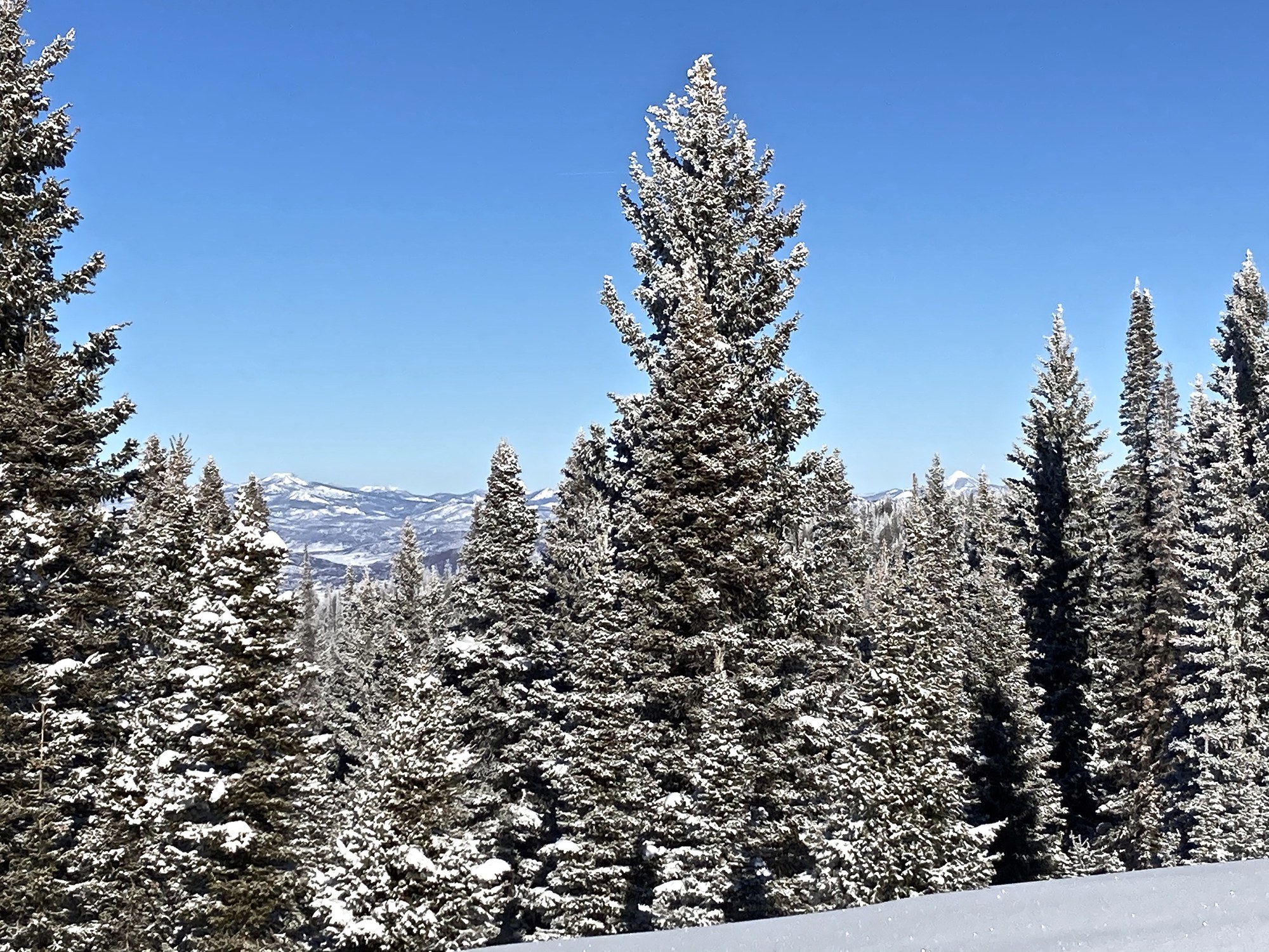 Rabbit Ears Pass — The Colorado Mountain Club
