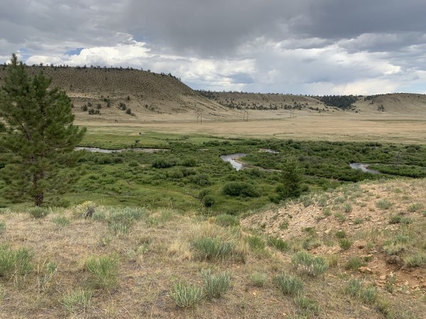 Fly Fishing – Tomahawk State Wildlife Area — The Colorado Mountain Club