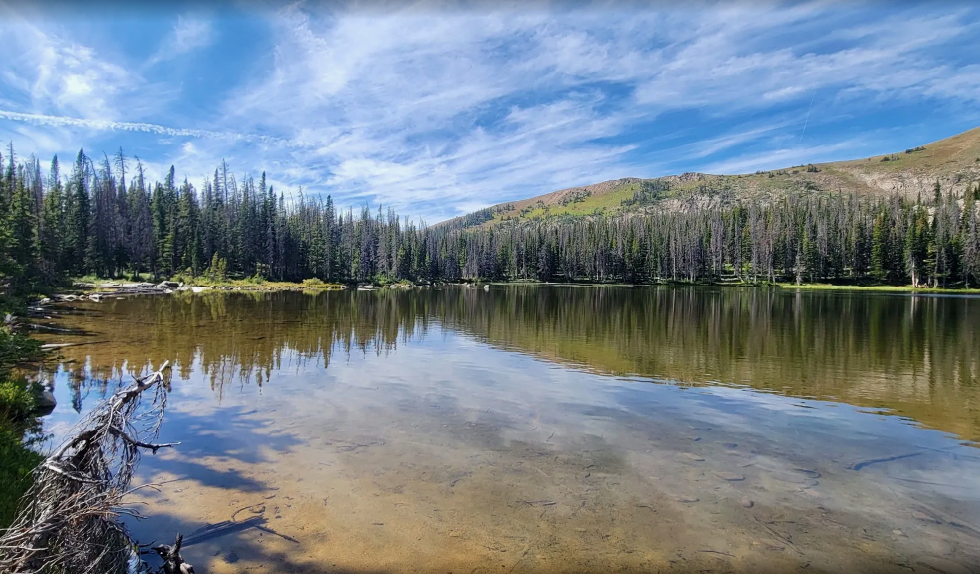 Waterdog Lakes Trail — The Colorado Mountain Club