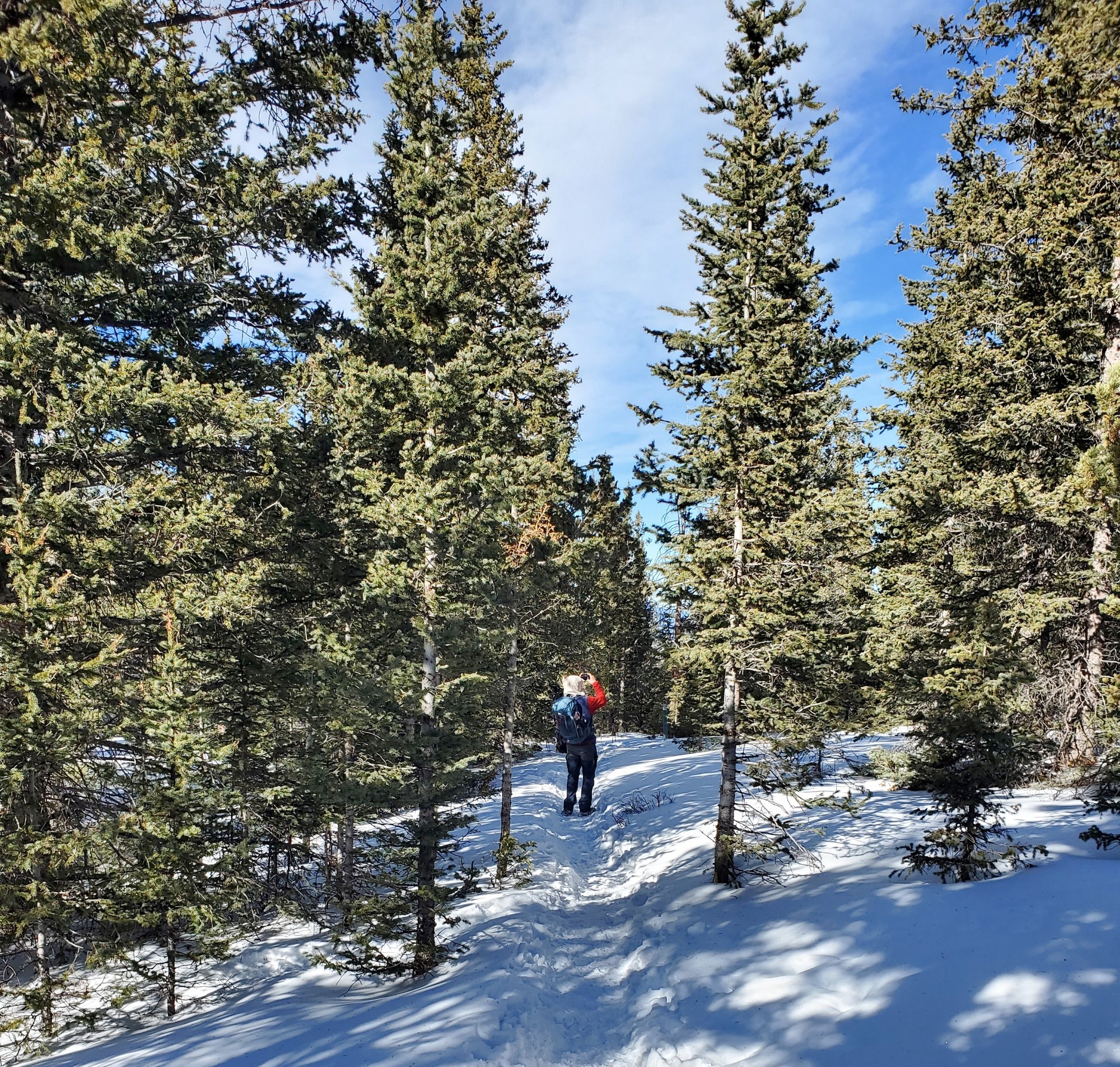 Day Hike in the Snow - Pancake Rocks — The Colorado Mountain Club