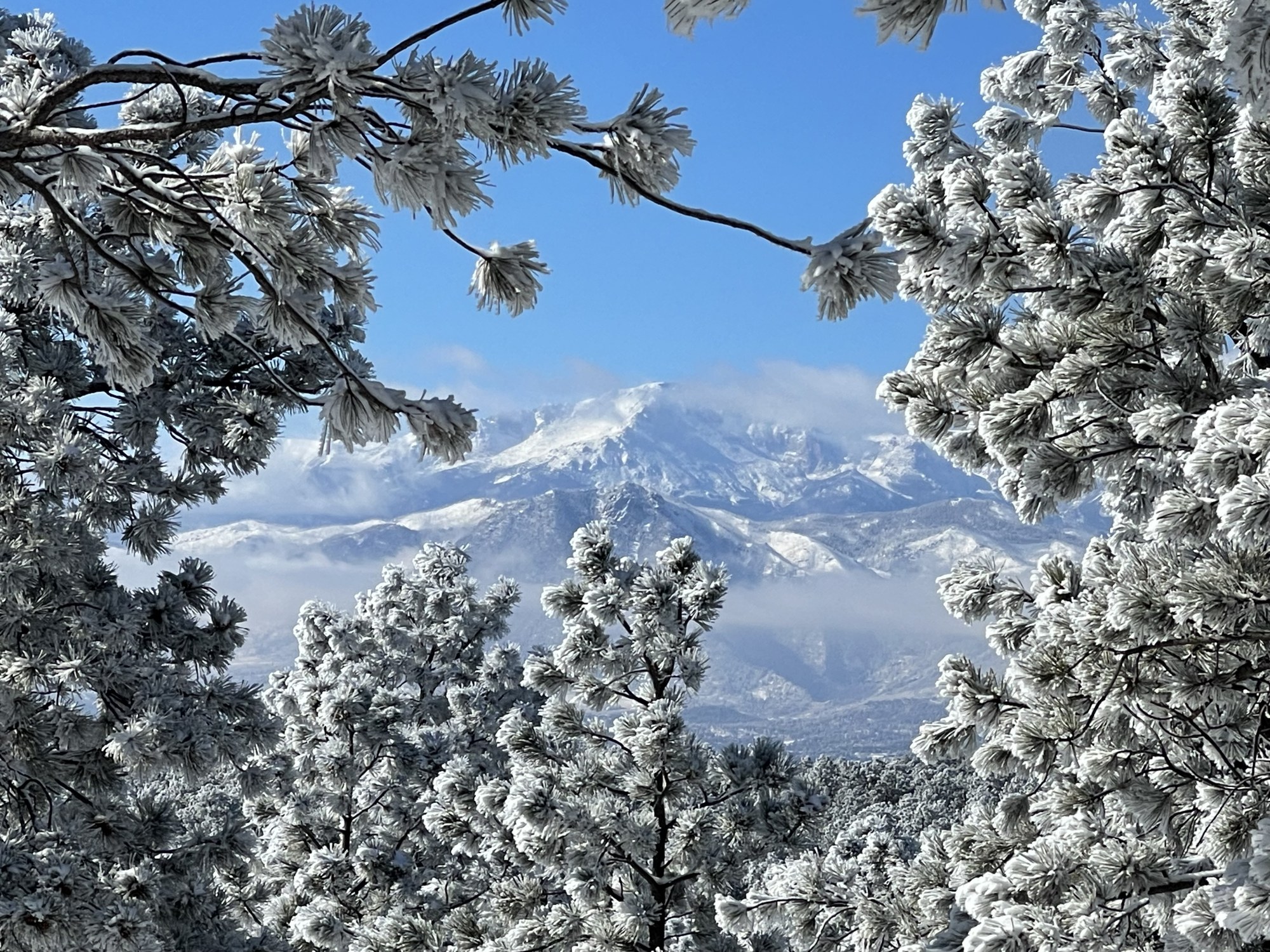 Nordic Skiing Fox Run Regional Park — The Colorado Mountain Club