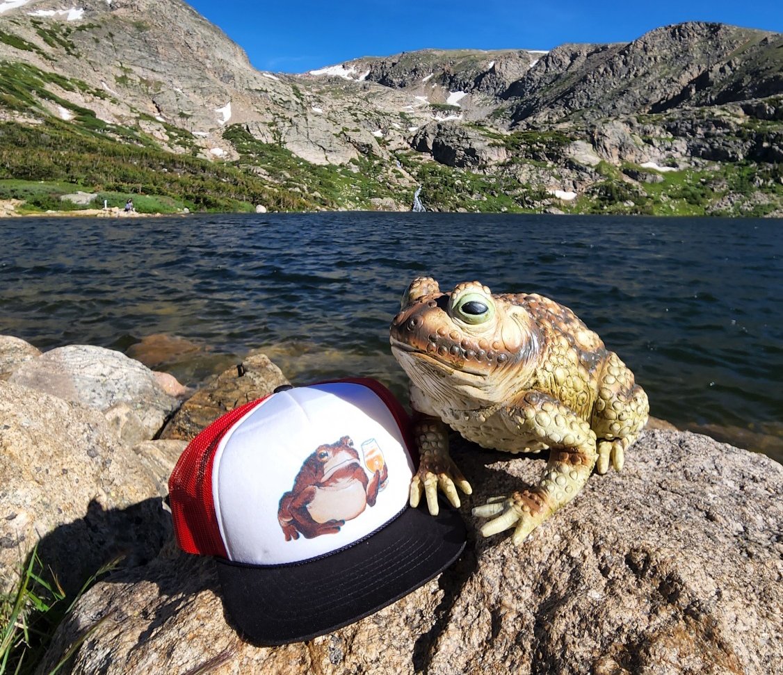 Trailblazer Social at Mountain Toad Brewing Company — The Colorado ...