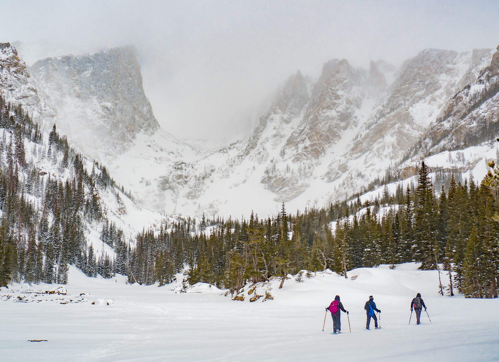 Beginner Snowshoe School - 2023 — The Colorado Mountain Club