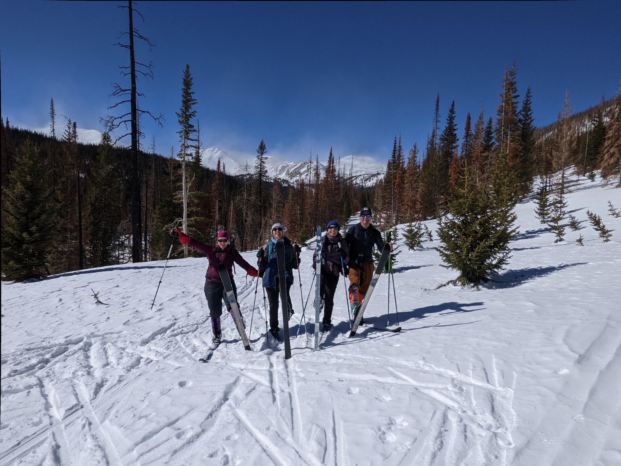 Intro to Backcountry Nordic Skiing -- Field Day – Long Draw Road — The ...