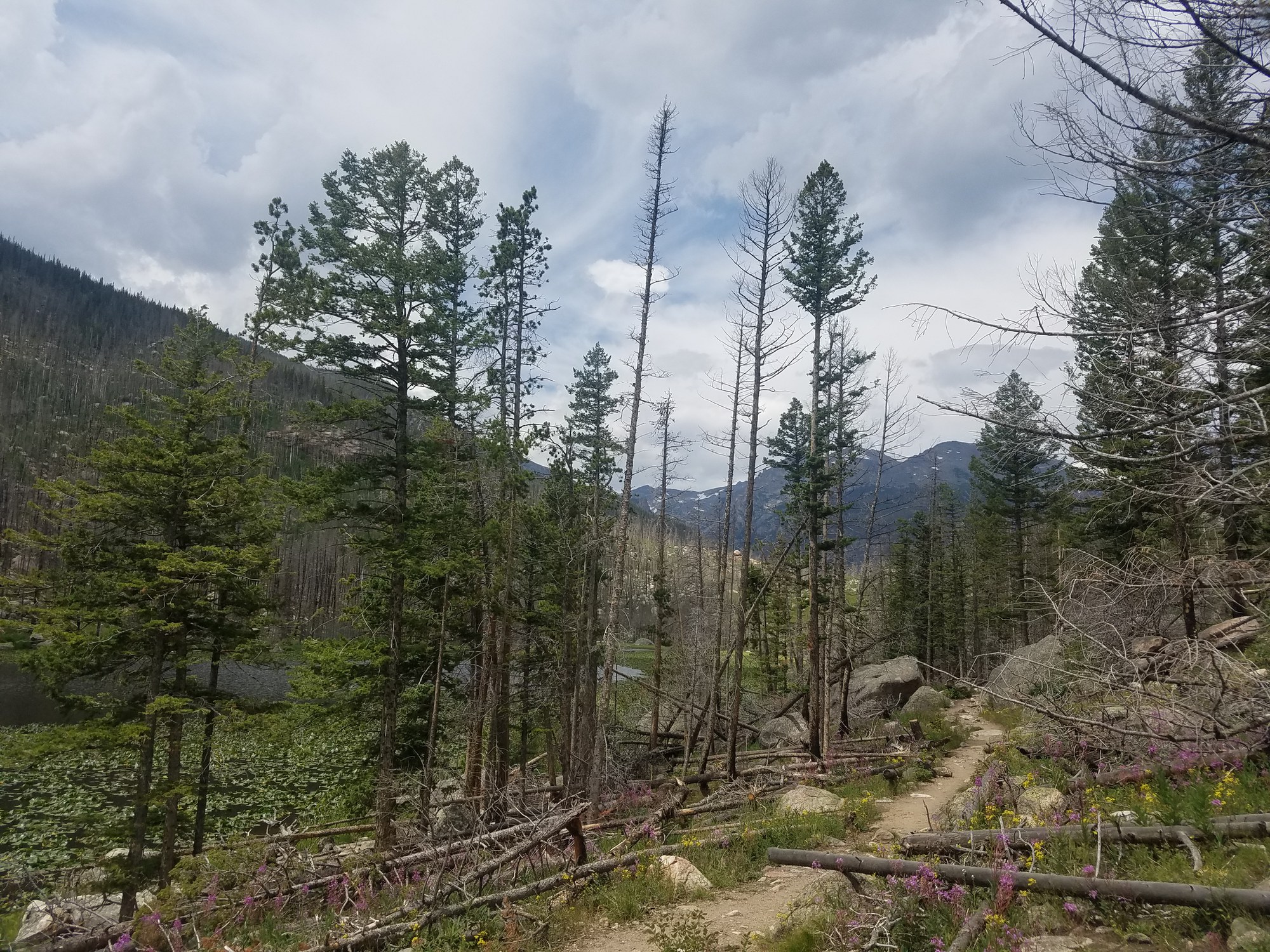 NoCo MHS Field Day 2 – Overlook Trail - Lory State Park — The Colorado ...